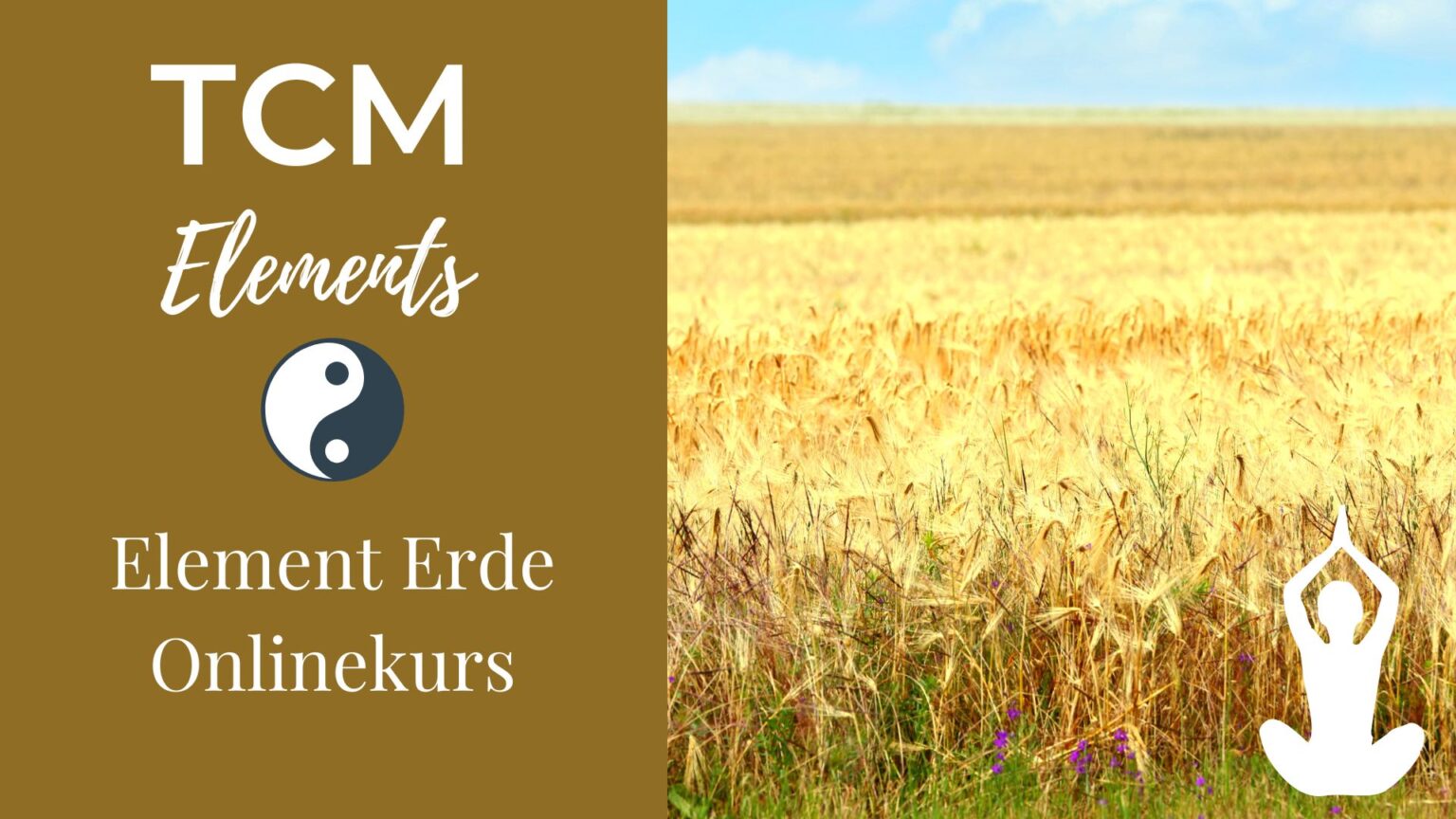 Erd Element (TCM 5 Elemente) | Yin Yoga Club